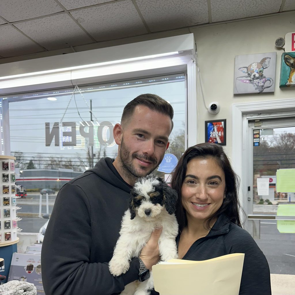 Small Breed Dogs | The Pet Shoppe | Middletown, NJ