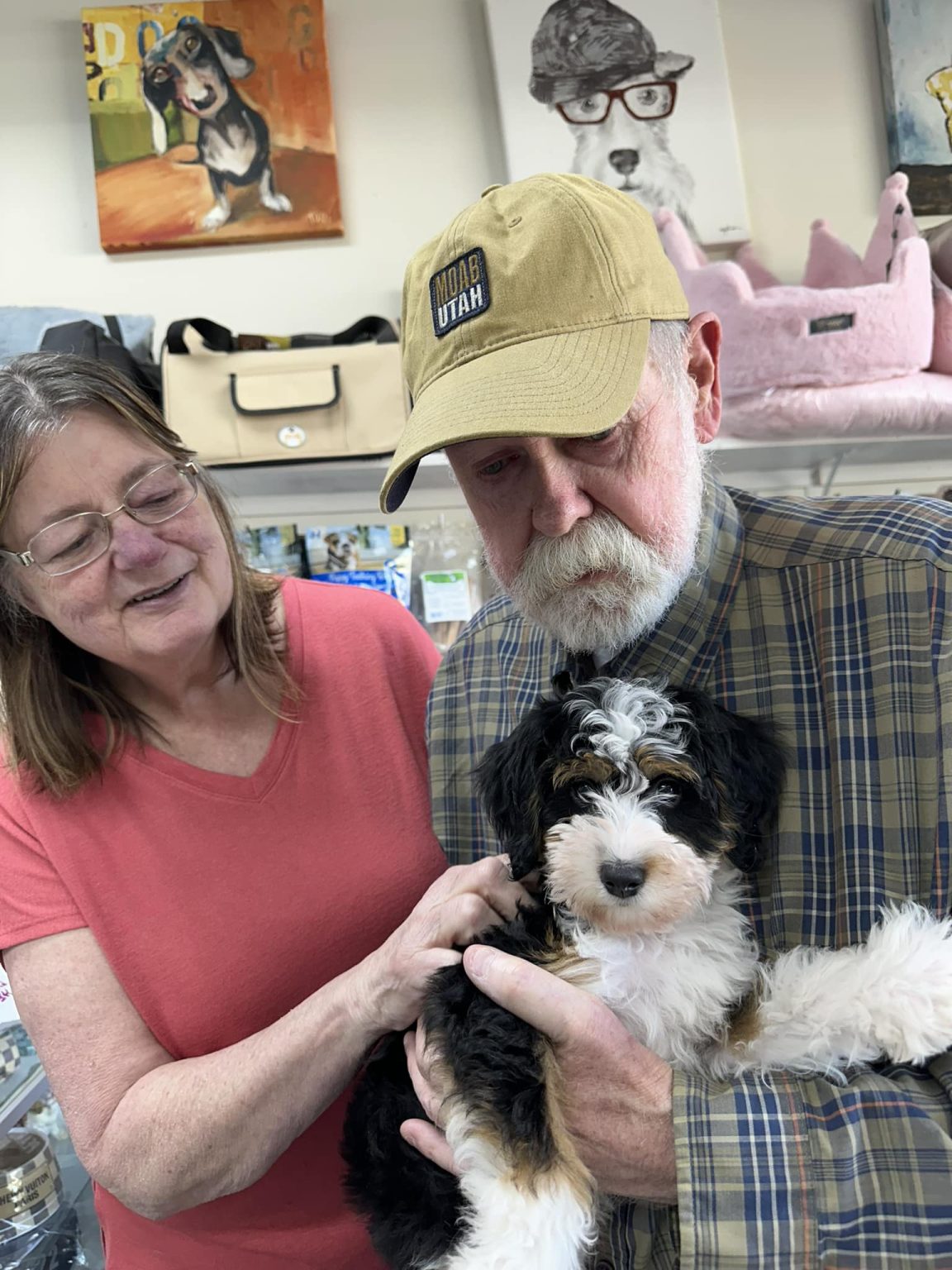 Puppy Store | The Pet Shoppe | Middletown, NJ | Puppies for Sale