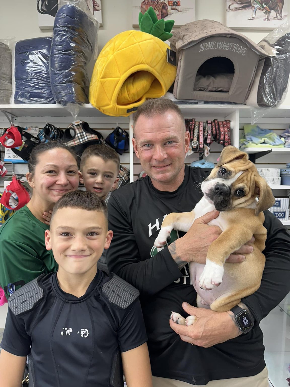 Puppy Store | The Pet Shoppe | Middletown, NJ | Puppies for Sale