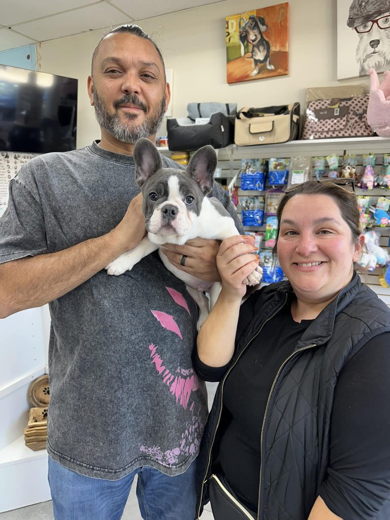 Puppy Store | The Pet Shoppe | Middletown, NJ | Puppies for Sale